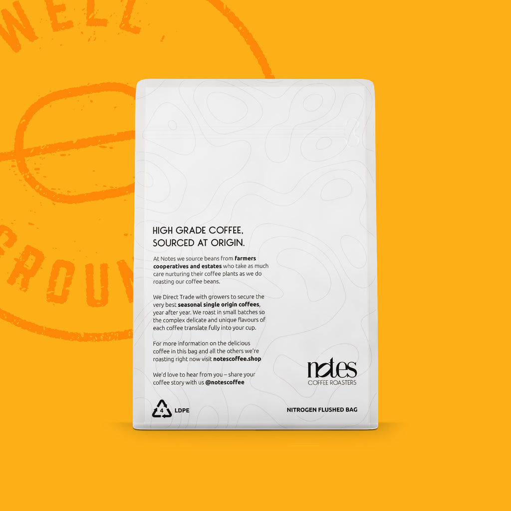 ImpactFilter_WG_Back_1024x1024.jpg?v=1670412649