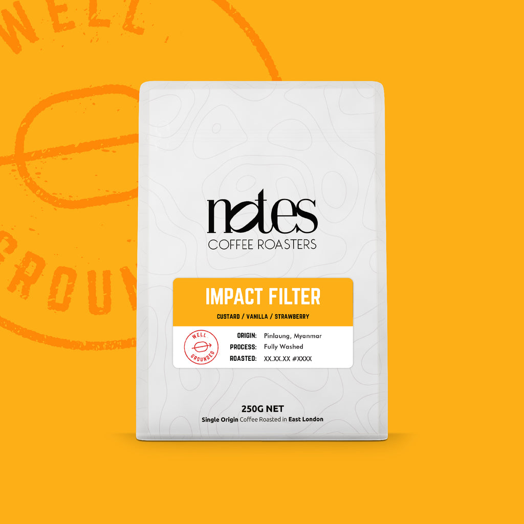 WellGrounded-x-Notes-Impact_Filter_PaO_FW_Front_1024x1024.jpg?v=1670412649