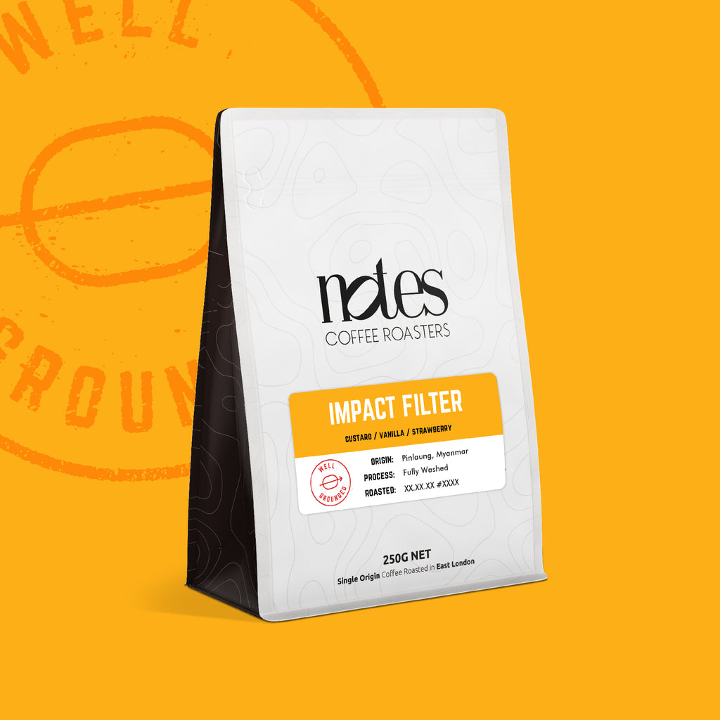 WellGrounded-x-Notes-Impact_Filter_PaO_FW_RightFace_1024x1024.jpg?v ...